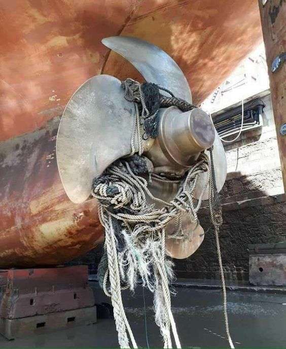 Technical support - RM Propulsion BV